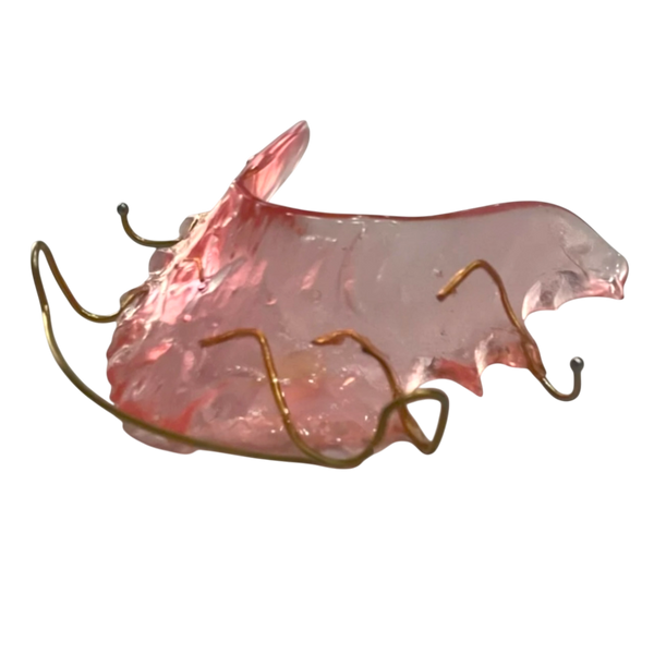 Gold Wire Wrap Around or Hawley Retainer – Teeth Retain Design